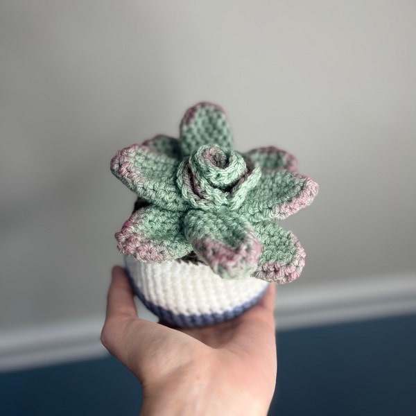Succulent Pattern Bundle - Etsy
