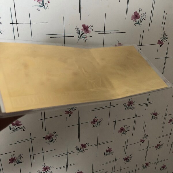 Total Solar Eclipse Coin Glow in the Dark Edition With Oregon Reverse ...