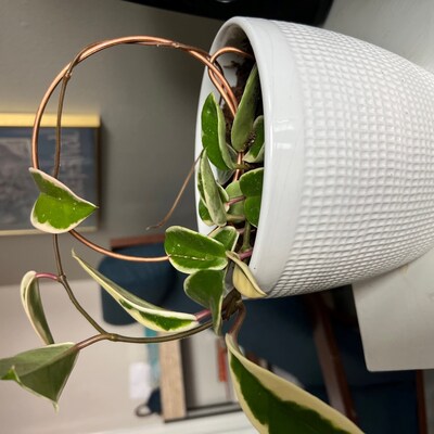 Copper Plant Trellis Houseplant Support Wire Stake - Etsy