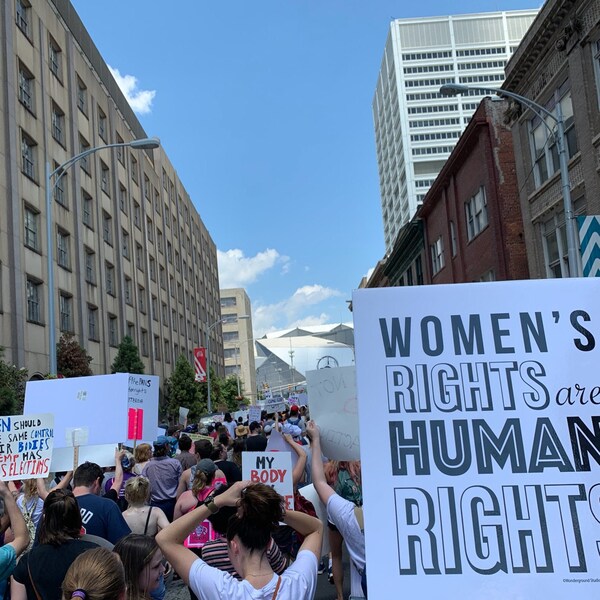 Protest Poster Lady Liberty Truths We Hold These Truths to Be Self ...