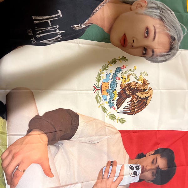 Twice Momo Flag Banner, Twice Momo Kpop American Flag Tapestry, Twice ...