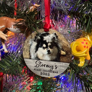 Puppies First Christmas Ornament Personalized Dog Picture Ornament Dogs ...