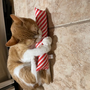 Flannel Cat Bed Lemon Cat Bed Flannel Bed Machine - Etsy