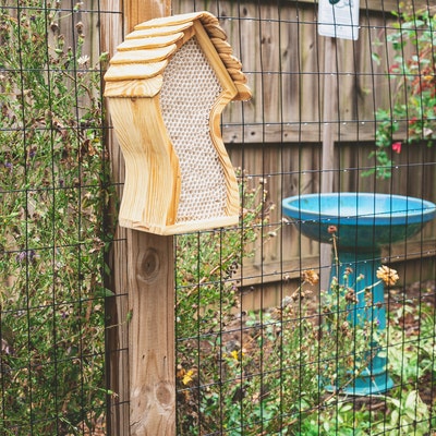 Colorful Bee Water Station Quench Your Bee's Thirst in Style With This ...