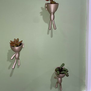 Adventurer Planter Trio Plant Buddy trio Plant Holder - Etsy