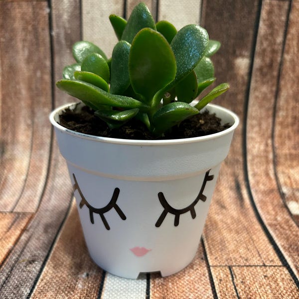 Face Decal for Flower Pot - Vinyl Decal - Flower Pot Sticker ...