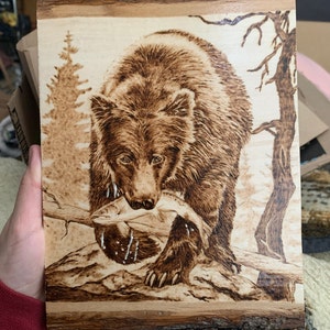 Hand Burned Highland Cow Wood Burning on Basswood With Bark. Pyrography ...