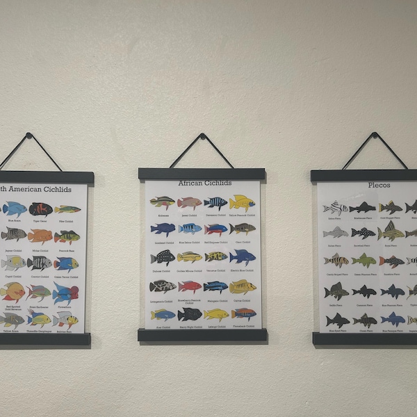 Fish ID Wall Art - Freshwater Shrimp (buy One Get Any Other Print Free ...