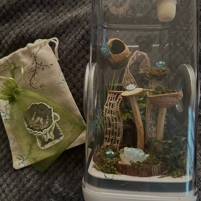 Jumping Spider Enclosure 5x5x9 Spider House, Spider Tank, Spider ...