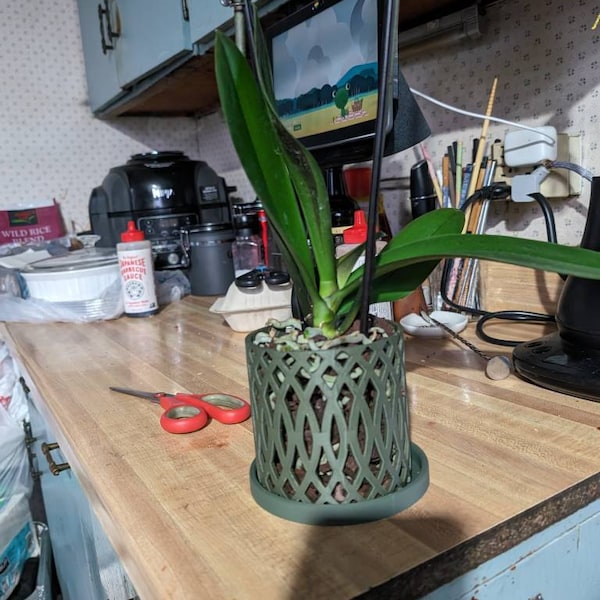 Orchid Pot, Unique Plant Pot With Drainage Holes and Saucer, 3D Printed ...