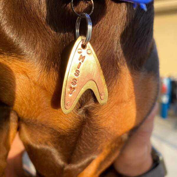 Star Trek Picard Number 1 Pet Tag - Etsy