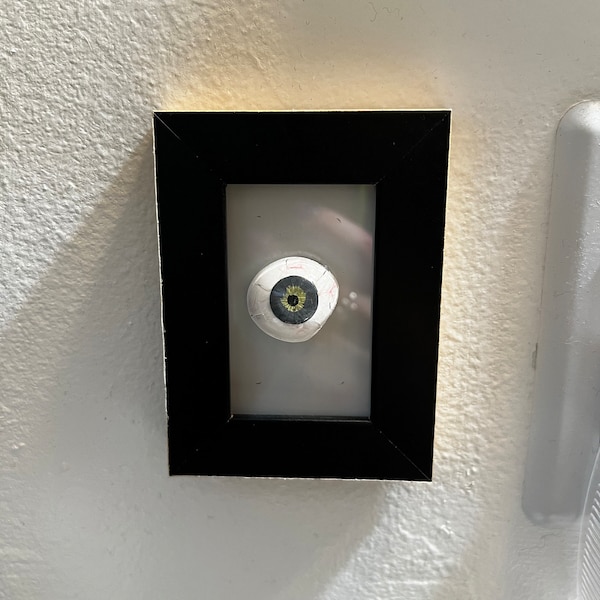 Prosthetic Eyeball | Acrylic Human Fake Eye Medical Oddity Curio ...