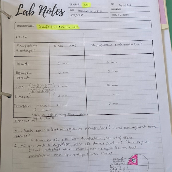 Printable Student Lab Notes Lab Notes Student Planner Printable ...