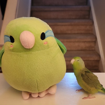 Parrotlet Plushie Borb Round Parrot Stuffed Animal Bird - Etsy