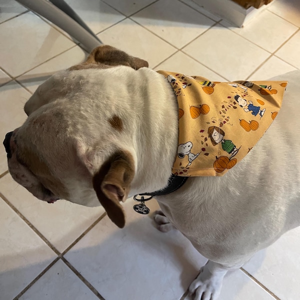 Over the Collar Reversible Dog Bandana - Wisconsin Badgers, Milwaukee ...