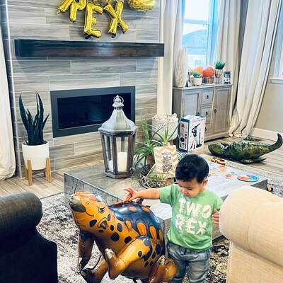 Two REX 2nd Birthday Shirt T-rex Theme Party Tee Dinosaur Second Bday T ...