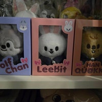 Box Only. Stray Kids SKZOO Box 10cm Plush Fanmade BOX [BOX Only] - Etsy ...