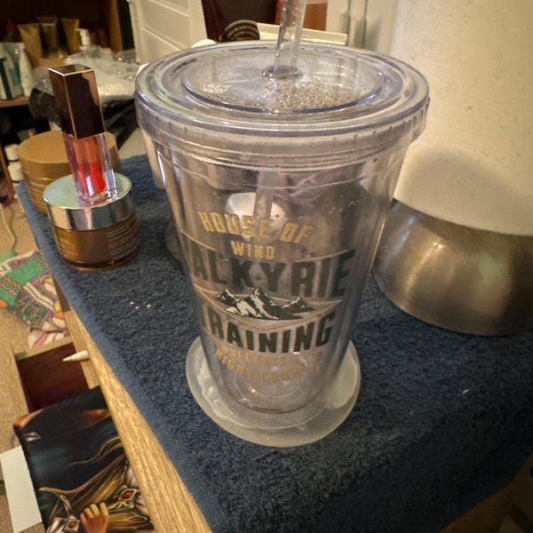 Valkyrie Training ACOTAR Stickers, House of Wind Indoor/outdoor Water ...