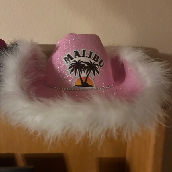 Grey Goose Cowboy Hat | Quick to Ship | Party Cowgirl Hat | Light up ...