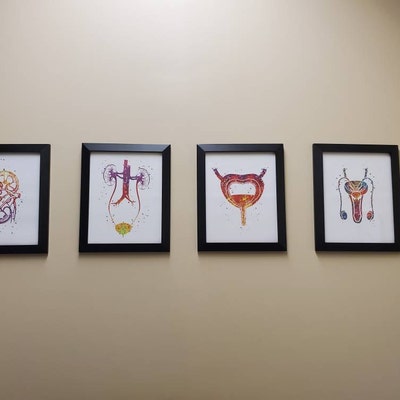 Urology Art Kidney Urinary Tract System Bladder Anatomy Art Nephrology ...