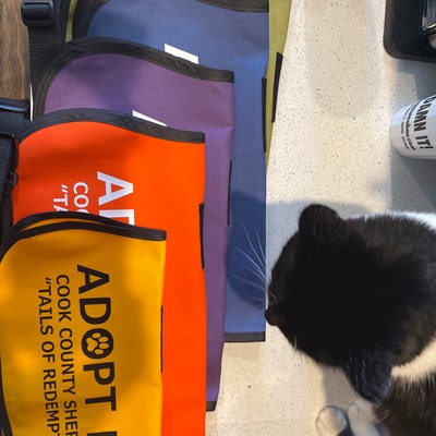 5-pack Adopt Me Dog Jackets Vests With GROUP NAME or WEBSITE - Etsy
