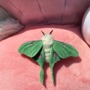 Rosey Maple Moth, Moth Figurine, Decoration, Needle Felted, Realistic ...