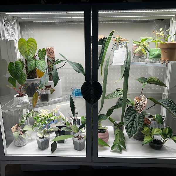 Milsbo Tall Set of 3 Sizes Shelves for IKEA Indoor Greenhouse Cabinet ...