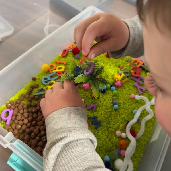 Fairy Garden Sensory Bin, Fairy Garden Activity, Fairy Sensory Bin ...