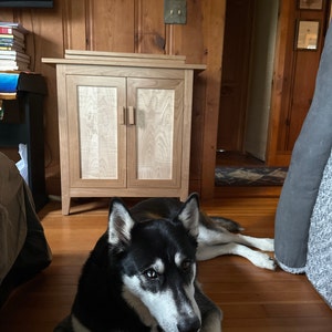 Rare Tiger Maple Stool With Golden Stain - Etsy
