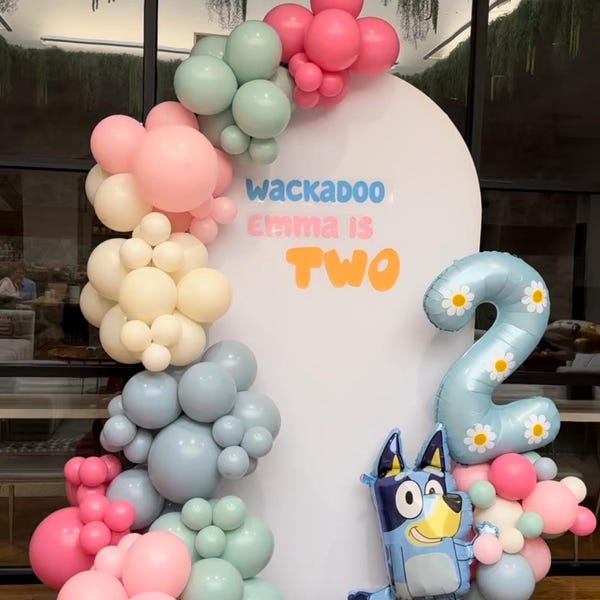 Bluey Balloon Garland | Bluey Daisy Balloon Arch | Bluey Party Decor ...
