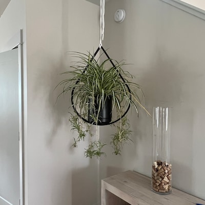 Wall Mount Diamond Planter With Saucer Geometric Wall - Etsy