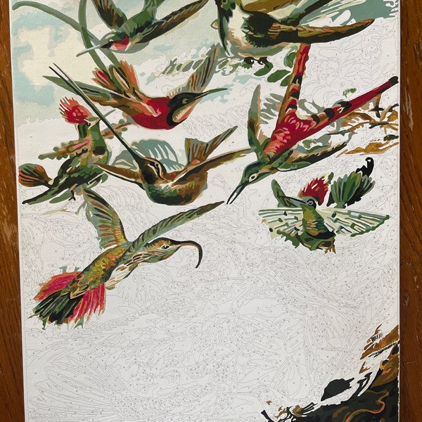 Hummingbirds - USA Shipping - DIY Paint by Number Kit Acrylic Painting ...