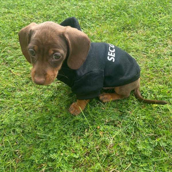 SECURITY Dog Sweatshirt Hoodie - Dog Sweater - Dog Jumper - Printed Dog ...