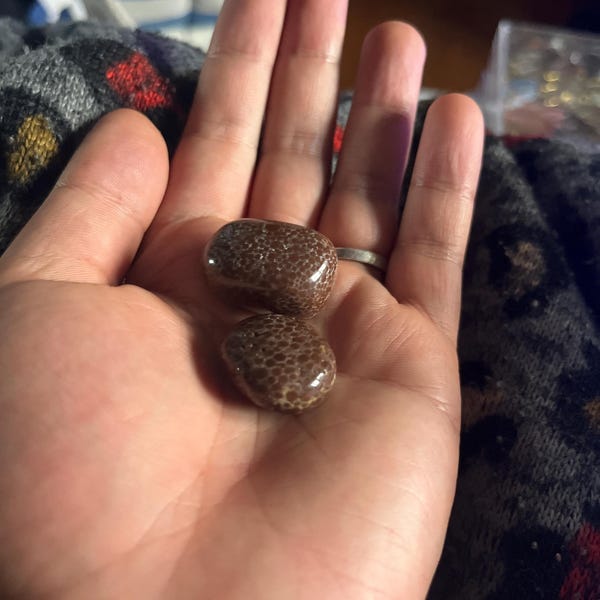 RARE One 1 Anthophyllite Tumbled Stone, Anthophyllite Tumbled Stones ...