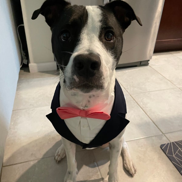 Gray Dog Tuxedo Harness, Wedding Tuxedo for Dogs, Custom Made Tuxedo ...