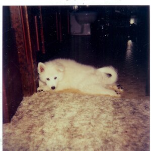 Deluxe Safety Razor Sets - Etsy