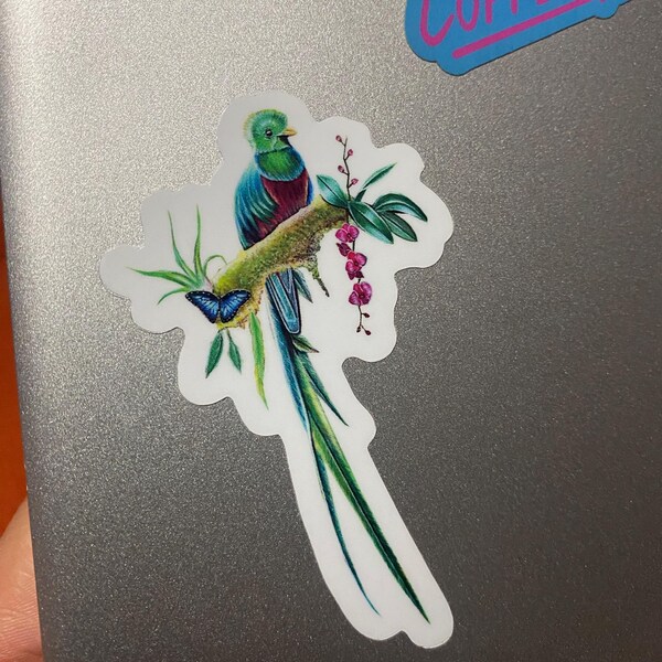 Quetzal Sticker, Quetzal, Guatemala Sticker, Guatemalan, Bird Sticker ...