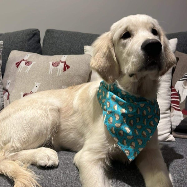 Reversible Taco Cat or Dog Bandana - Avocado Fruit Pet Neckerchief ...