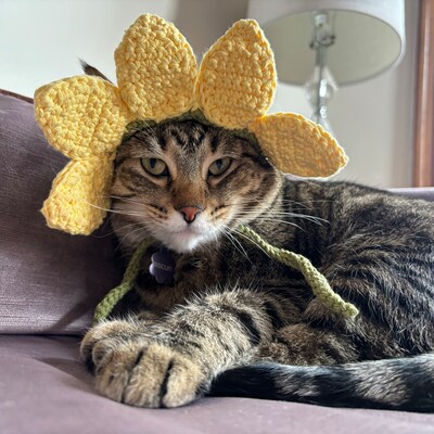 Flower Hat for Cats Sunflower Cat Hat Crochet Hat for Pets - Etsy