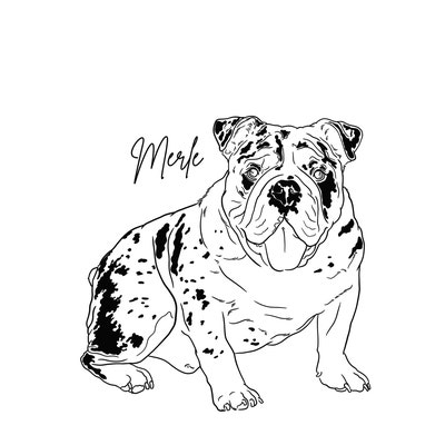 Dog Outline, Custom Line Drawing, Pet Portrait Full Body, Inked Line ...