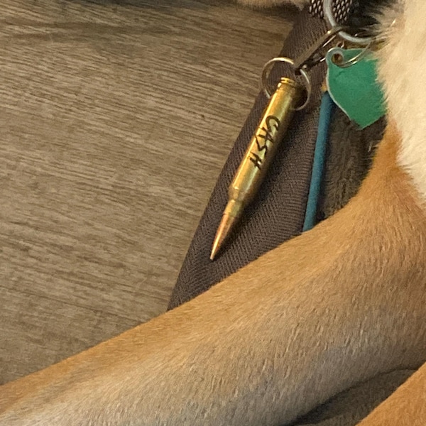 Personalized Bullet Pet ID Tag - Custom Engraved Dog Tag - Etsy