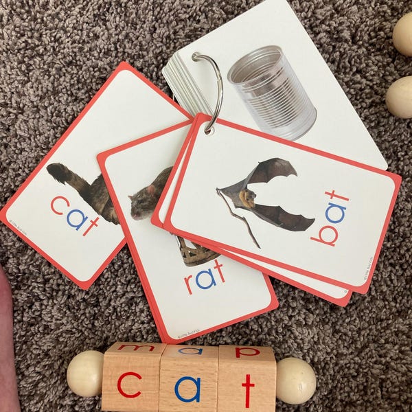 Montessori Reading Blocks: CVC Words Short Vowel Phonics Toy With ...
