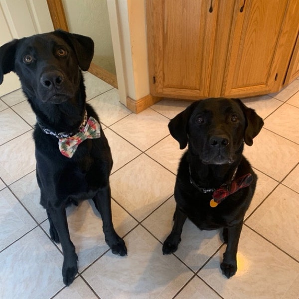 The Kaydo's Christmas Wish - Etsy