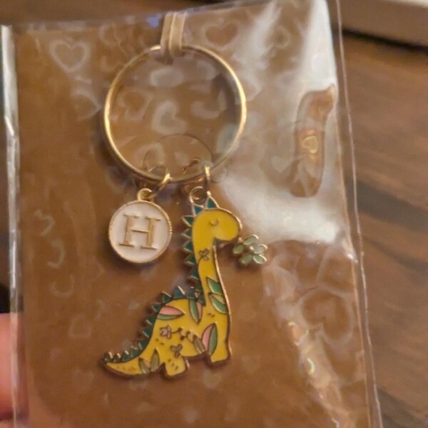 Personalized Dinosaur Keychain Gift for Dino Lover - Etsy