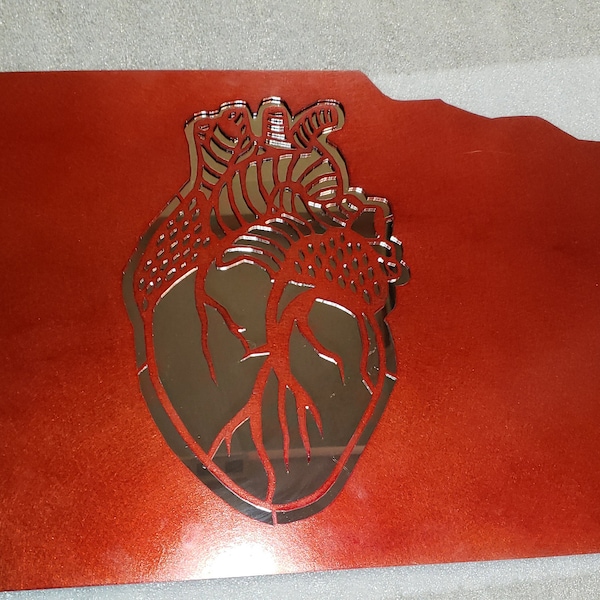 Real Human Heart Anatomy SVG, Anatomical Heart Paper Cut Template for ...