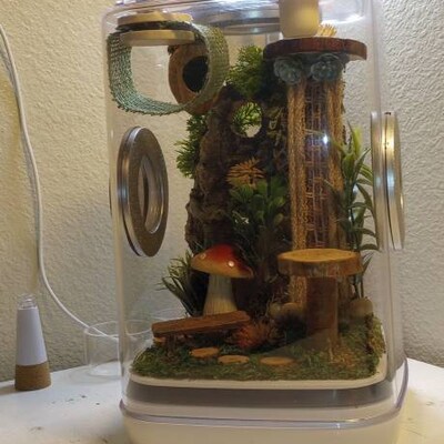 Jumping Spider Enclosure 5x5x9 Spider House, Spider Tank, Spider ...