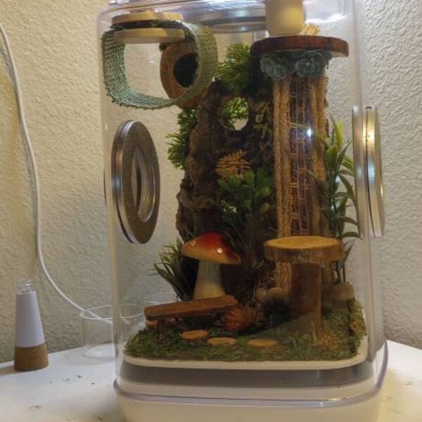 Jumping Spider Enclosure 5x5x9 Spider House, Spider Tank, Spider ...