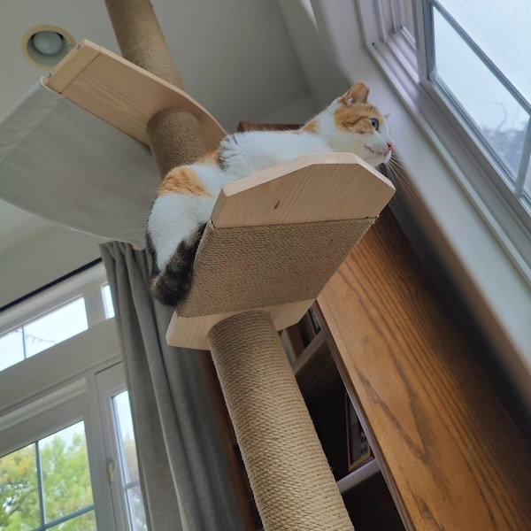 Modern Climber Cat Tree With Hammock, Floor to Ceiling Cat Tree Tower ...