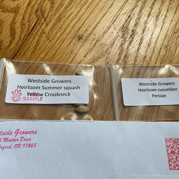 Heirloom Persian Cucumber Seeds - Fresh Seeds Grown and Harvested in ...