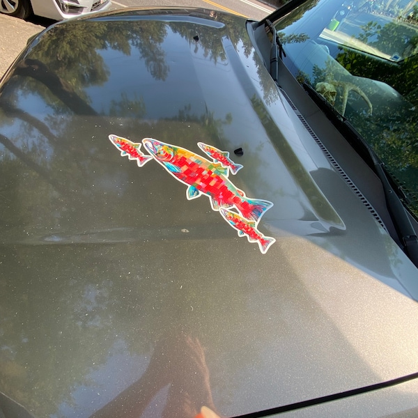 COHO SALMON, Vinyl Sticker, Fish Art - Etsy